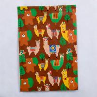 China Biodegradable Poly Mailer Bags with Custom Printing and Self-Adhesive Seal for Secure Shipping for sale