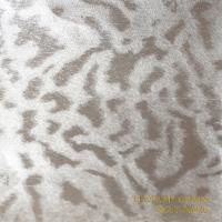 China Customizable Eco-Friendly Metallic PVC Coated Binding Paper 220gsm± Jiaxing OEM With International Certifications for sale