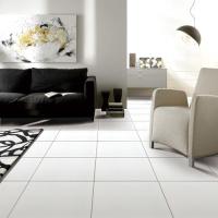 China Gray Anti Slip 12''X12