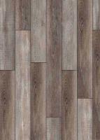 China 6