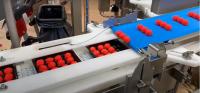 China 2 Layers Food Packaging Telescopic Conveyor For Biscuit Meatball Bread Roll In Tray for sale