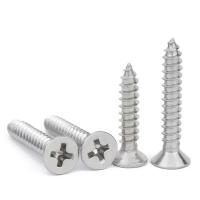 China Self Tapping Phillips Drive Screw M1.7 M2 M2.5 M3 M4 Corrosion Proof Screws for sale