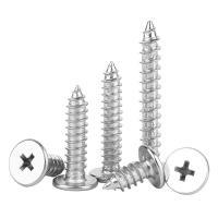 China Self Tapping Stainless Steel Screws Flat Head Self Tapper Screw For Wooden for sale