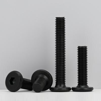 China Corrosion Resistant Flat Head Screw M6 Hex Socket Head Screw for sale