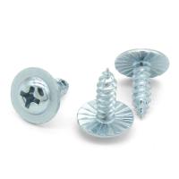 China DIN968 Zinc Treatment Cross Pan Head With Washer Self-tapping Screws for sale