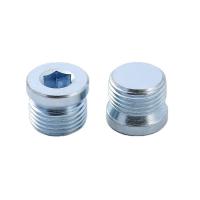 China DIN906 High Strength Grade 8.8 Hexagon Socket Pipe Plug for sale