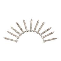 China Stainless Steel 304 316 DIN 7981 Phillips Pan Head Self Tapping Screws Corrosion Resistant for Outdoor Use for sale