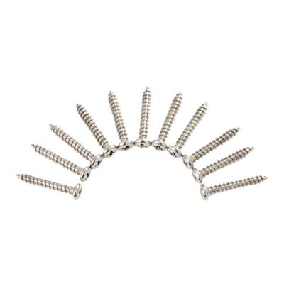 China Stainless Steel 304 316 DIN 7981 Phillips Pan Head Self Tapping Screws Corrosion Resistant for Outdoor Use for sale