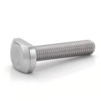 China High Strength Alloy Steel GB37 T Head Bolt Grade 10.9 for Machine Tool Fixtures for sale