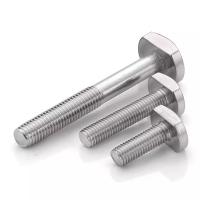 China High Strength Alloy Steel GB37 T Head Bolt Grade 10.9 for Machine Tool Fixtures for sale