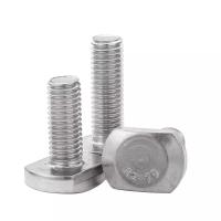 China High Strength Alloy Steel GB37 T Head Bolt Grade 10.9 for Machine Tool Fixtures for sale