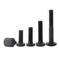 China Black Oxide GB37 T Bolt Anti Corrosion T Head Screw M5 to M48 for Machine Clamping for sale