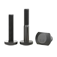 China Black Oxide GB37 T Bolt Anti Corrosion T Head Screw M5 to M48 for Machine Clamping for sale