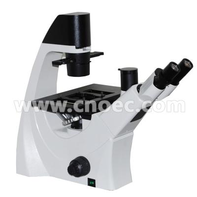 China 300X Laboratory Phase Contrast Microscope Halogen Lamp , Rohs CE A19.0205 for sale