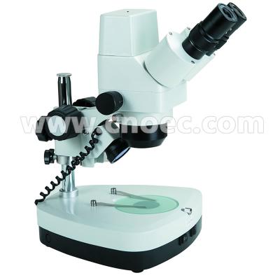 China 10X-40X Digital Stereo Microscope A32.1202 With Halogen Lamp And Coarse Focusing for sale
