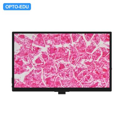 China OPTO EDU A59.2264 13.3
