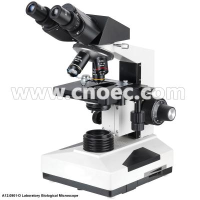 China 40x - 1600x Compound Optical Microscope For Laboratory , CE Rohs A12.0901 for sale