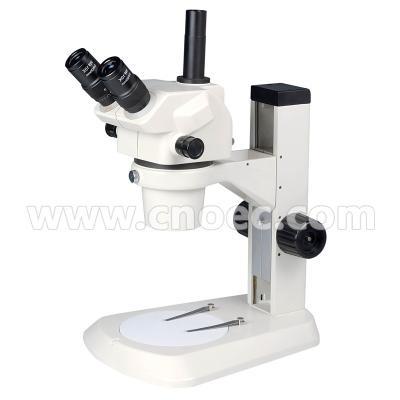 China Trinocular Stereo Optical Microscope With Halogen Lamp A23.1101 for sale