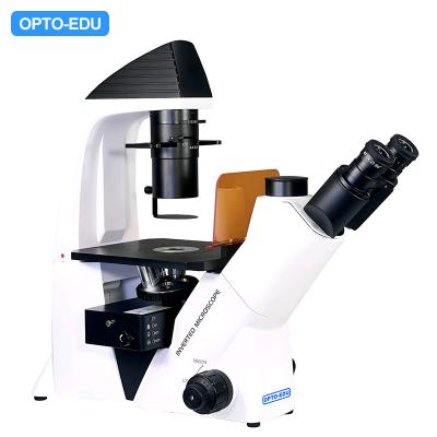 China OPTO-EDU A16.2614-UL China Supplier High Brightness Inverted Ultra LED Fluorescent Microscope Price for sale