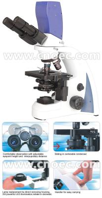 China 5.0M / 40x - 100x Digital Optical Microscope A31.1008 For Laboratory for sale