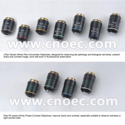 China Infinity Binocular Compound Microscope With Infinity Plan Objective A12.0908 for sale