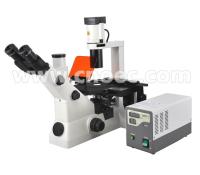 China Inverted Fluorescence Binocular Compound Microscopes 40X - 400X A16.0701 for sale