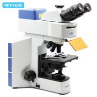 China APO Objective Infinity Trinocular Fluorescence Microscope with Disc LED  A16.0908-L for sale