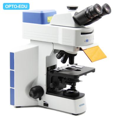 China APO Objective Infinity Trinocular Fluorescence Microscope with Disc LED  A16.0908-L for sale