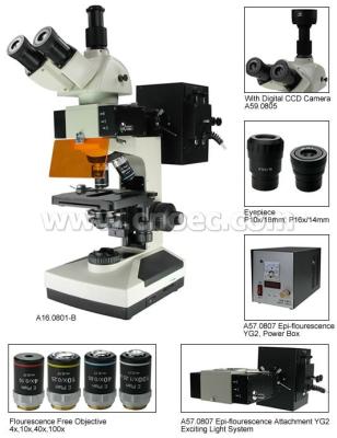 China 40X - 1600X Trinocular Fluorescence Microscope Compound Microscopes A16.0801 for sale
