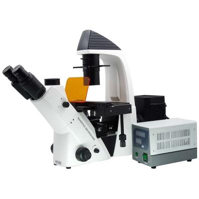 China Binocular Wide Field Fluorescence Microscopy A16.2614 40X - 1600X Magnification for sale