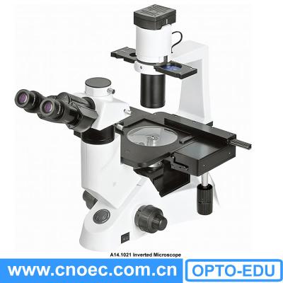 China A14.1021 400x Trinocular Inverted Biological Microscope Infinity Optical System for sale