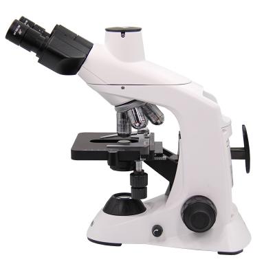 China OPTO-EDU A12.6603-T Compound Optical Microscope Biological High Precision for sale