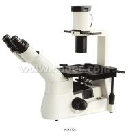 China Trinocular Head 400X Laboratory Inverted Optical Microscope A14.1101 With CE for sale