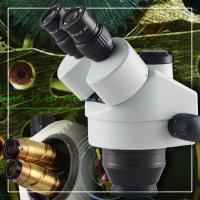 China Opto-Edu Zoom Stereo Digital Optical Microscope WF10x / 20mm Eyepiece for sale