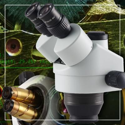 China Opto-Edu Zoom Stereo Digital Optical Microscope WF10x / 20mm Eyepiece for sale