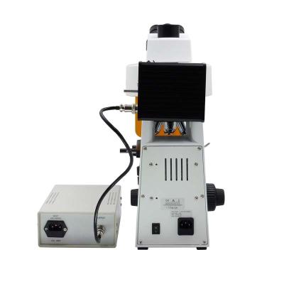China Precision Light Split Fixed A16.2601 Fluorescence Microscope Binocular / Trinocular for sale
