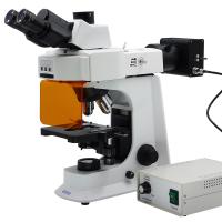 China 40x - 1000x LED Trinocular Fluorescence Microscope For Research / Learning for sale
