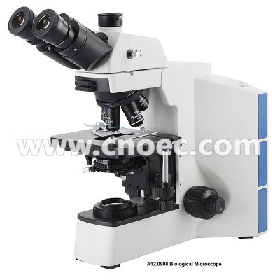 China Laboratory Compound Optical Microscope with Infinity Trinocular Head for sale