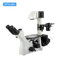 China Kohler Illumination Inverted Light Microscope OPTO-EDU A14.0900 for sale