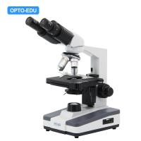 China Halogen Light Student 1000x WF10X Biological Compound Microscope for sale
