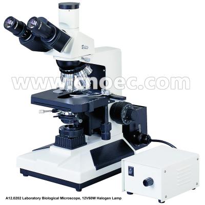 China 40X - 1000X Biological Microscope 12V / 50W Halogen Lamp With CE A12.0202 for sale