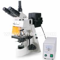 China Fluorescent Microscope Trinocular Head 40 - 1000X with CE A16.1103 for sale
