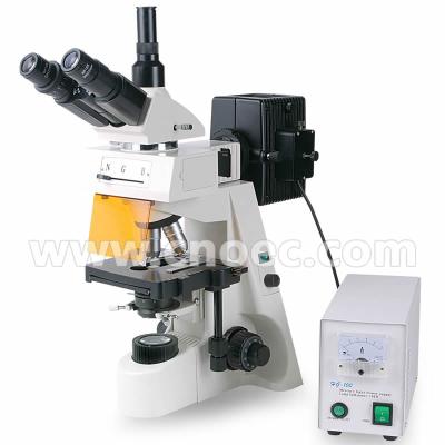 China Fluorescent Microscope Trinocular Head 40 - 1000X with CE A16.1103 for sale