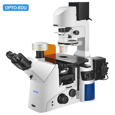 China A16.1096 Inverted Fluorescent Opto Edu Microscope N-iPLFN PH Infinity Plan Semi-APO for sale