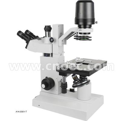 China Binocular Head 640X Inverted Optical Microscope A14.0301 With 12V 50W Halogen Lamp for sale