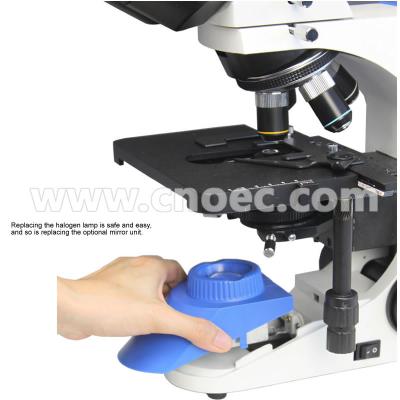 China Infinity Compensation Wide Field Microscope A12.0302 Binocular Head , Y Style Body for sale