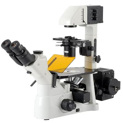 China Corrected Optical System Inverted Flourescence Microscope , Kohler A16.0900 for sale