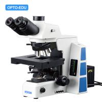 China M12.5850 Compound Optical Microscope Biological Bf 2d Xyz Motorized for sale