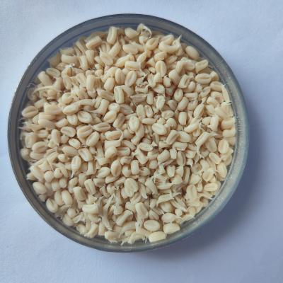 China Food Grade Heat Resistance Antistatic Agent Particles For Polymers Products for sale