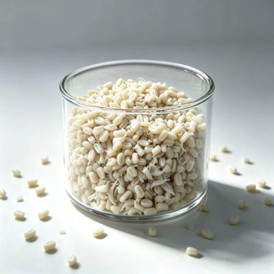 China Permanent Polymer Antistatic Agent ASTPEEN310 Plastic Pellets For Industrial Use Injection Moulding And Blow Moulding Permanent Highly Effective for sale